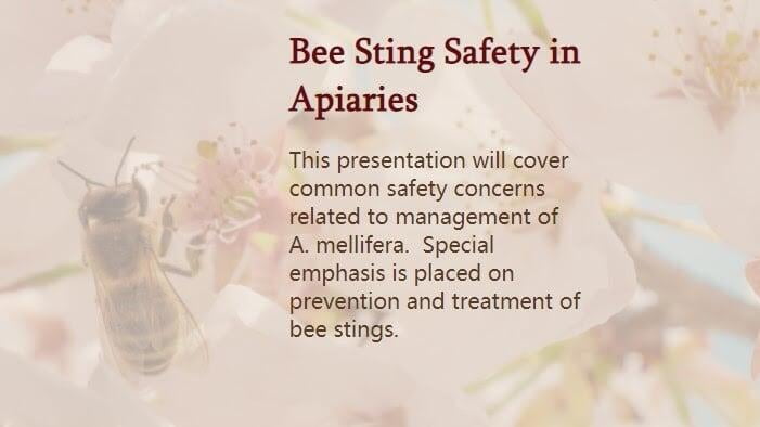 Instructional Design Project - Bee Safe!